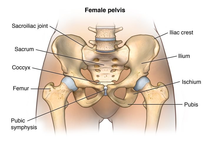Pregnancy Related Pelvic Girdle Pain Orchard Health Clinic Pregnancy Related Pelvic Girdle Pain Orchard Health Clinic