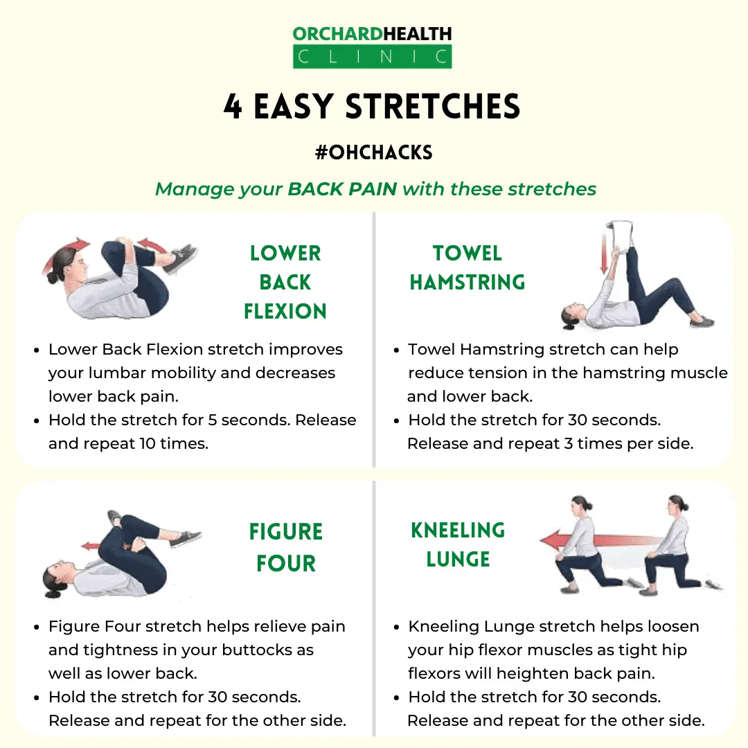 Back Pain | 4 Easy Stretches | Orchard Health Clinic - Osteopathy ...